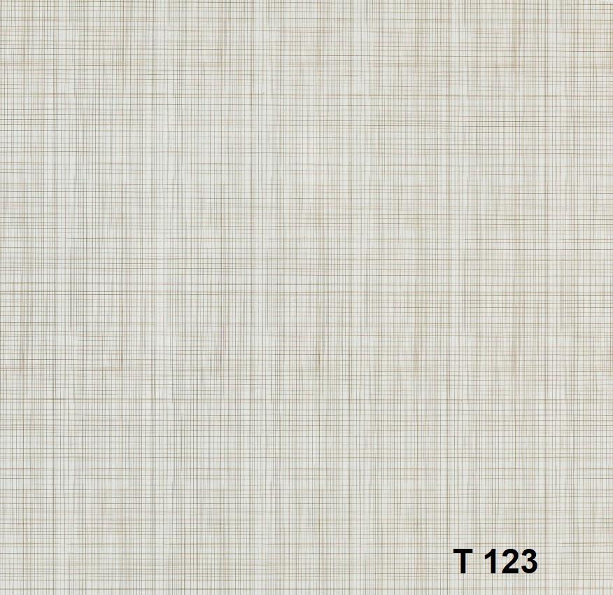 PVC false ceiling 60*60-T123 - Noavaran Zarrin Roud