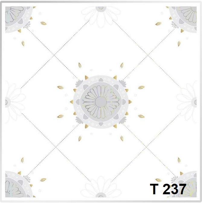 PVC false ceiling 60*60-T237 - Noavaran Zarrin Roud